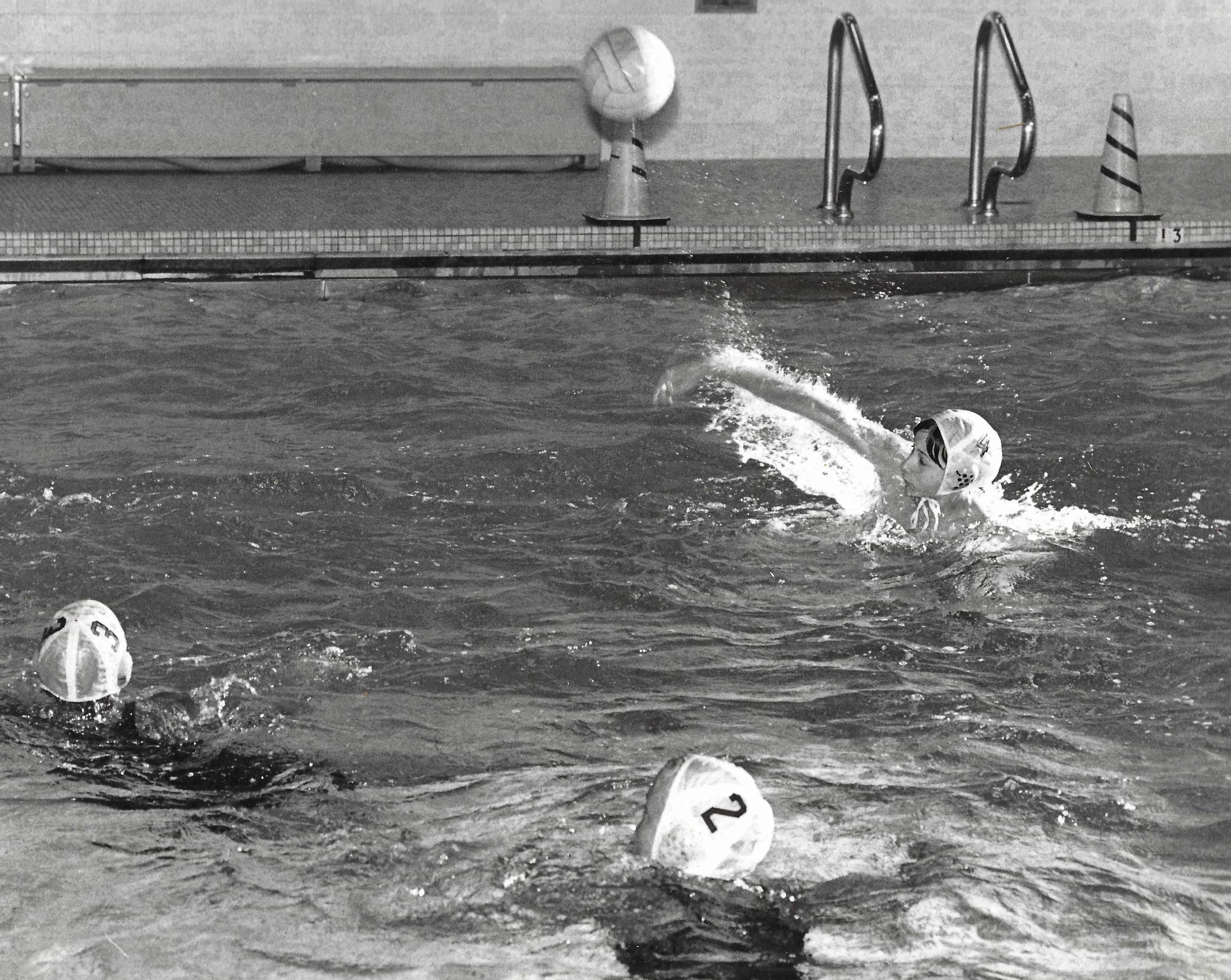 This New Life | tim-water-polo