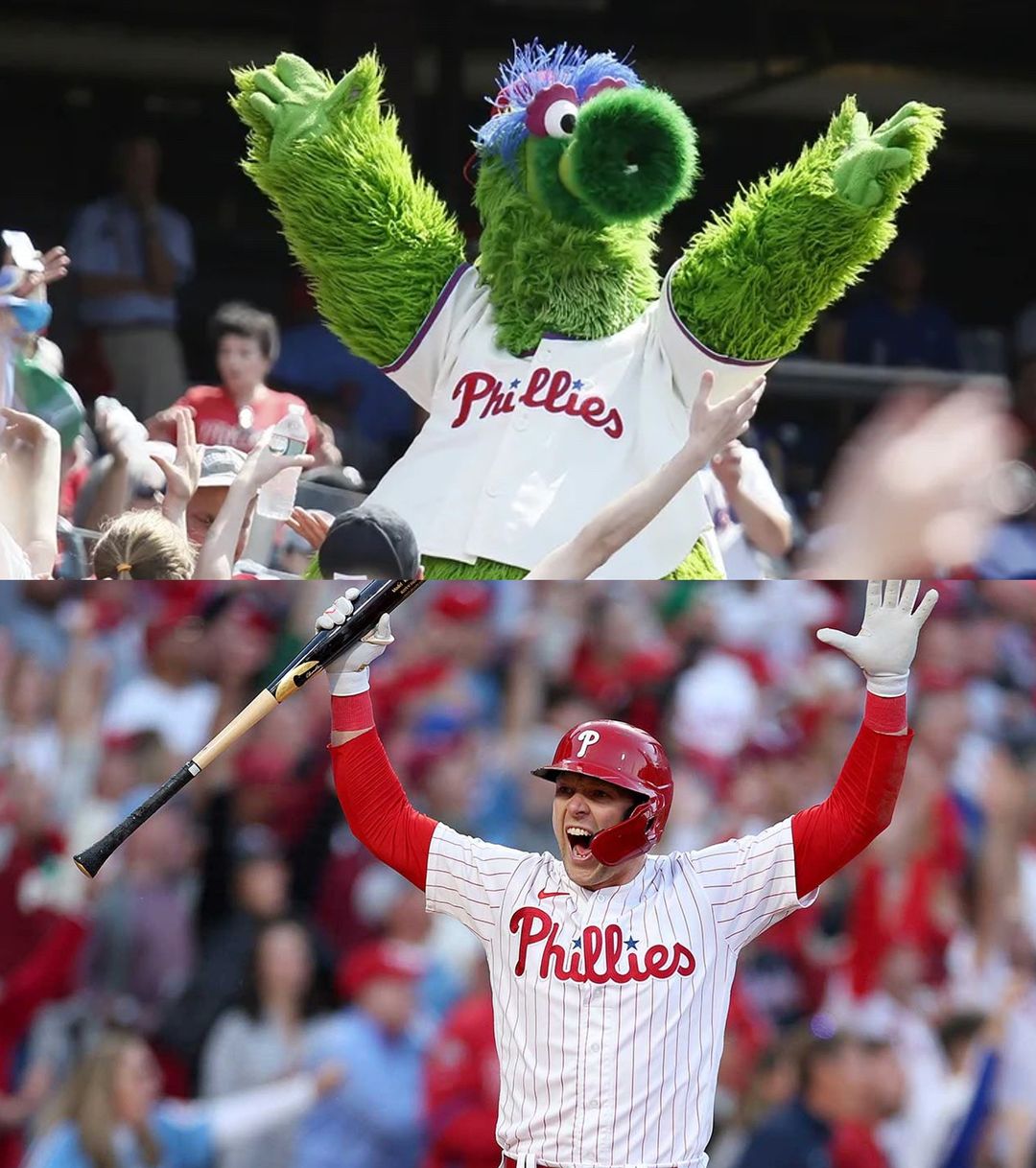 This New Life | field-phanatic-hoskins